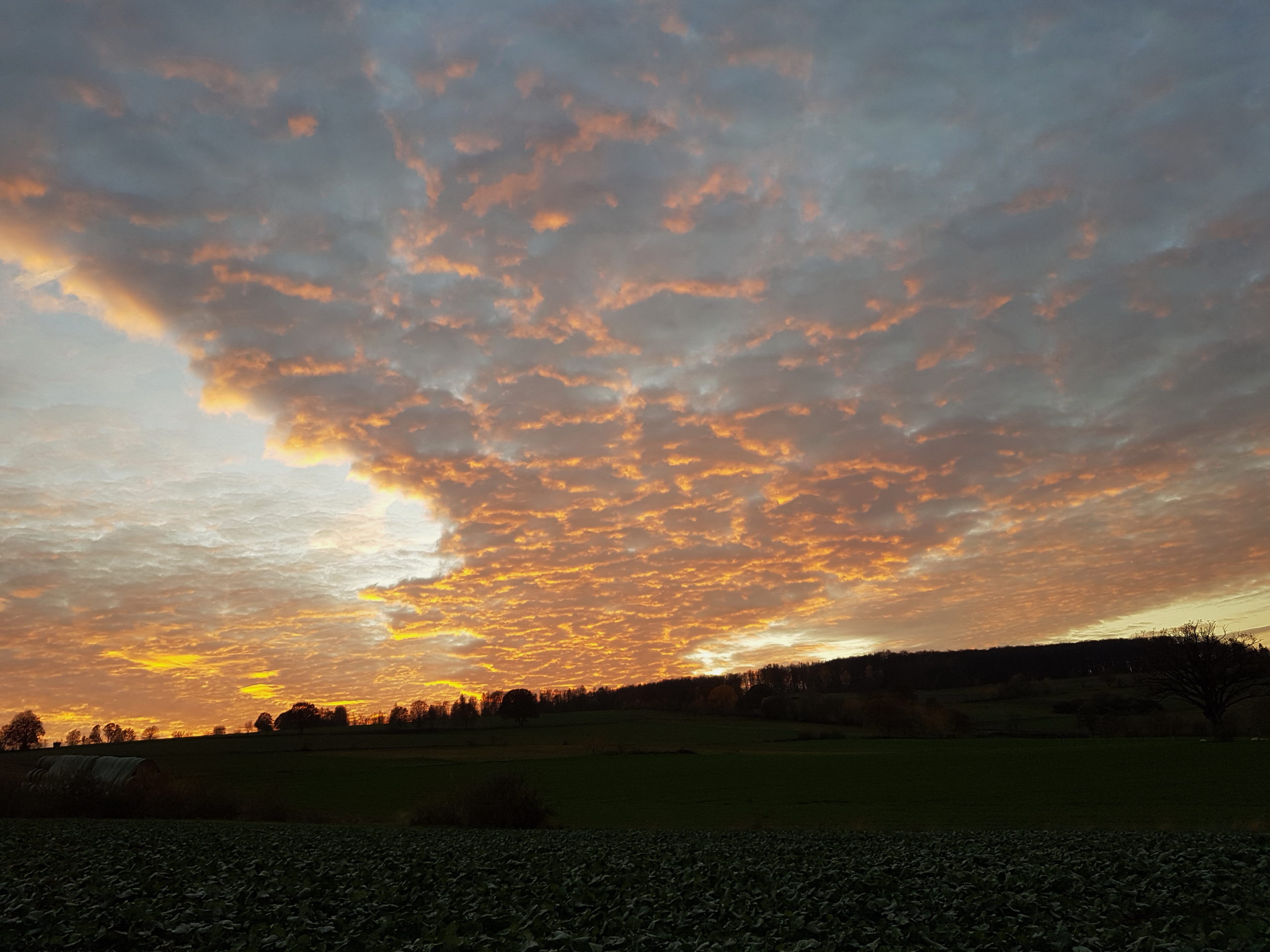 Abenddämmerung der Demokratie - Klaus Kunze